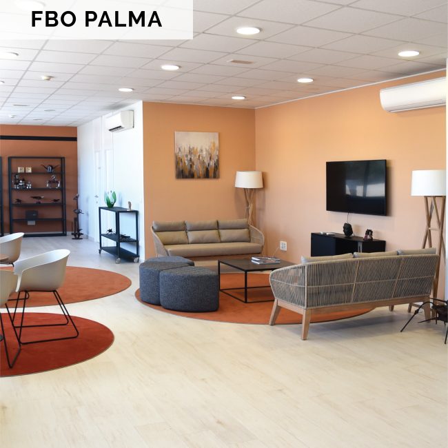 AviaVIP - Your Vip Gateway in Europe