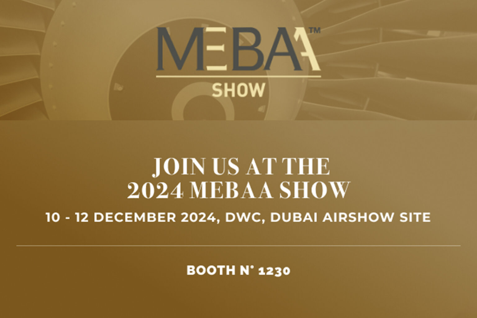 AviaVIP - Your Vip Gateway in Europe